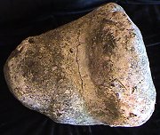 Ambergris New Zealand | Ambergris Northland | Sperm whale | Identify ...